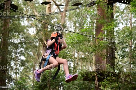 나무 꼭대기 모험 등반 중에 날아다니는 여우 집라인에서 미끄러지는 어린 소녀 등정에 대한 스톡 사진 및 기타 이미지 등정 안전 8 9 살 Istock