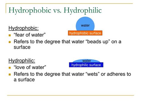 PPT Superhydrophobicity And The Lotus Effect PowerPoint Presentation ID