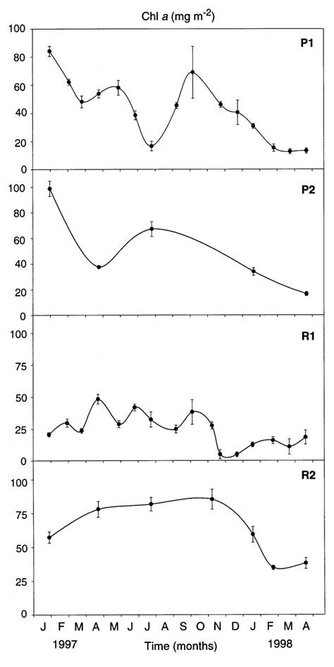 Seasonal Variation Of Microphytobenthos Biomass As Chl A Concentration Download Scientific