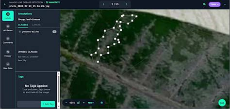 Help You Precisely Annotate Objects In Roboflow By Elzyrhc Fiverr