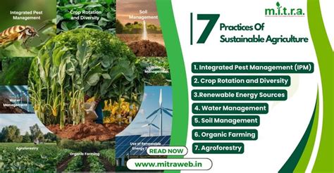Seven Practices Of Sustainable Agriculture Ensuring A Greener Future