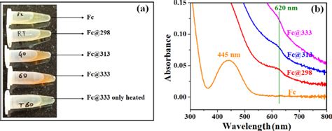 A Optical Image Represented Wherein The Effect Of Ferrocene Solution Download Scientific