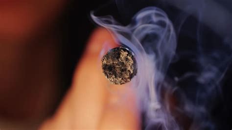 Girl Smoking Weed Stock Video Footage Royalty Free Girl Smoking Weed