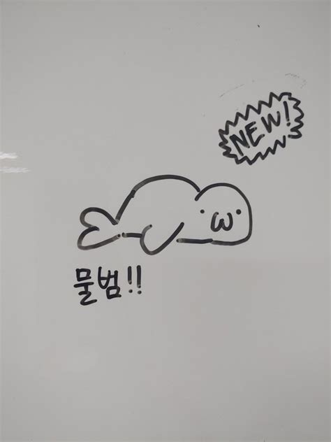 물범 그림 뉴스트림
