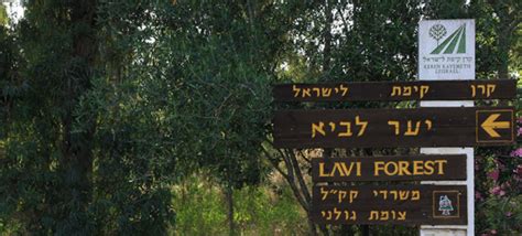 יער לביא Camping U