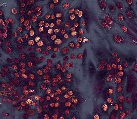 Nvidia Index Plugin For Paraview 512 Feature Updates And New Licensing