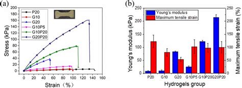 Schematic Of A Four Step Solution Casting Method For Dual Layer Tubular