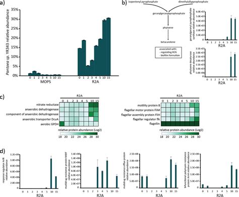Metaproteomics Analysis Of Pantoea Sp Yr343 Functional Behavior During