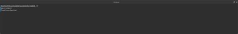 Tool Server Script Breaks When Tool Is Cloned Scripting Support