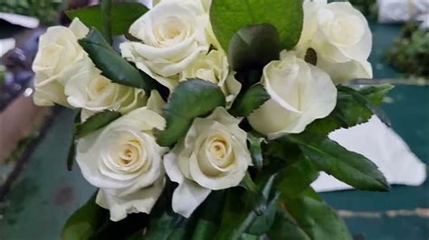 그레이스켈리 Youtube