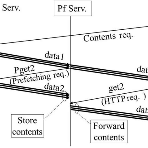 An Overview Of Netezza Architecture Adapted From [26] Download