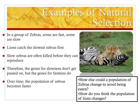 Ppt 22 Aug Powerpoint Presentation Free Download Id 1612481
