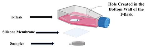 Noninvasive Measurement Of Dissolved Oxygen CO And PH CAST Center For Advanced Sensor