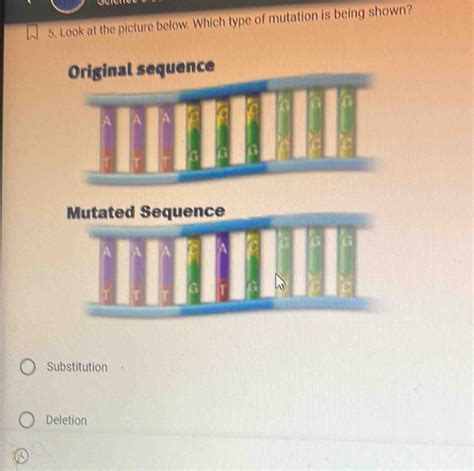 Solved 5 Look At The Picture Below Which Type Of Mutation Is Being