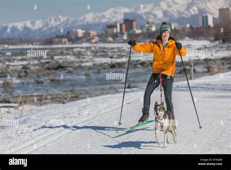 A Young Woman Skijors With Her Alaska Husky Sled Dog Down The Tony