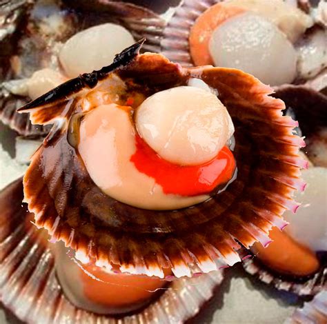 Comprar Zamburiñas Online Mariscos Galicia