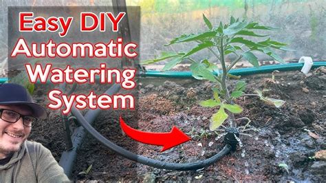 Diy Automatic Watering System