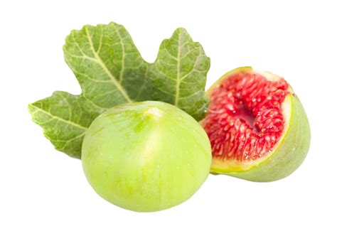 Fig Png Transparent Background 29334337 PNG
