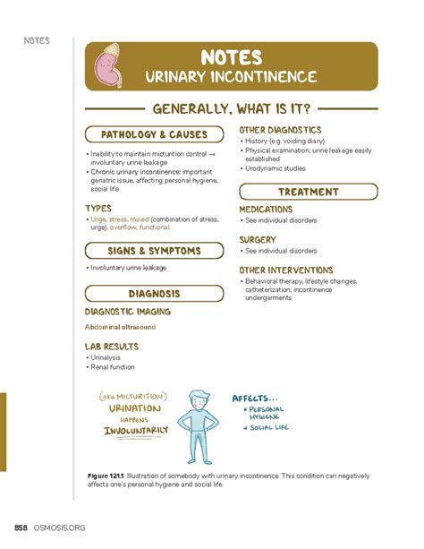 Urinary Incontinence Soap Note At George Chavis Blog