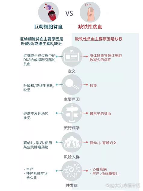 贫血缺铁？