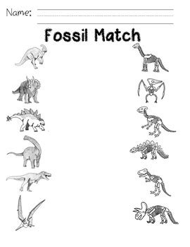 Fossil Match By Brainy Days Learning Materials TpT