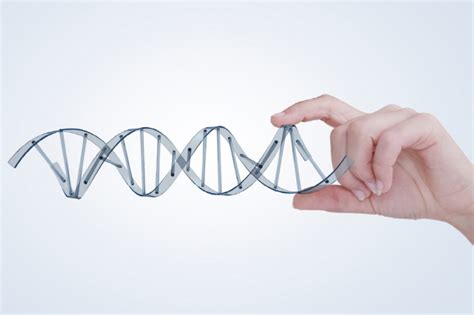 유방암 고위험 유전자 찾았다 당신의 건강가이드 헬스조선