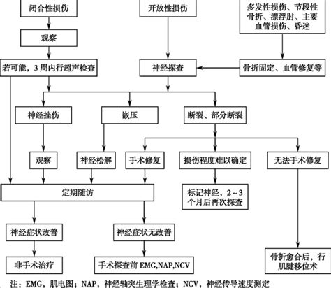 肱骨干骨折伴桡神经损伤选锁定板 or 弹性髓内钉 上海开为医药科技有限公司 创伤肢体矫形技术解决方案的专业服务商