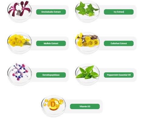 Lungexpand Pro Review The Ultimate Solution For Better Breathing In 2025