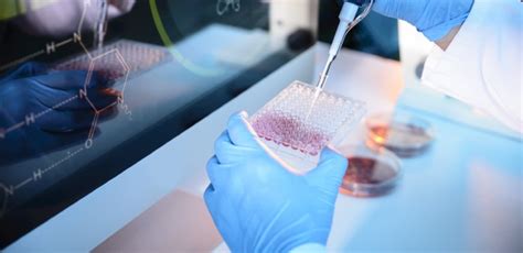 Plasmid Dna Preparation 100 Yield Guaranteed Quintara Plasmid Dna Preparation Services 100