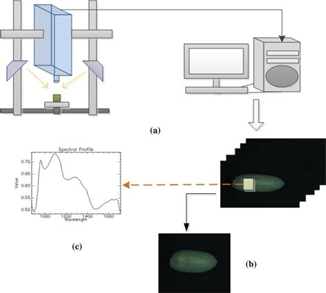 A Hyperspectral Imaging System B Each Band Presents A Two Dimensional