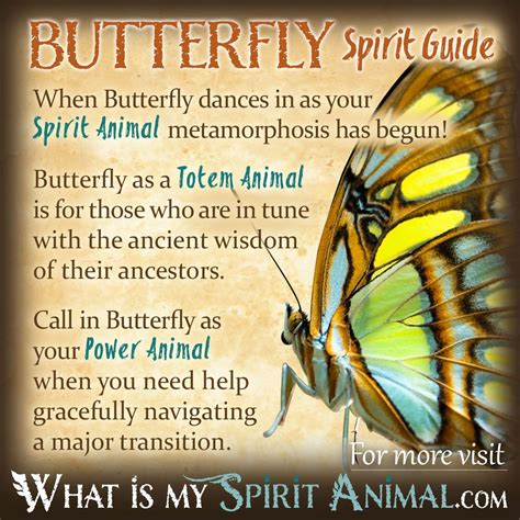 Symbolic Images And Their Meanings