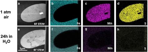 Scanning Transmission Electron Microscopy And Scanning Transmission Download Scientific Diagram