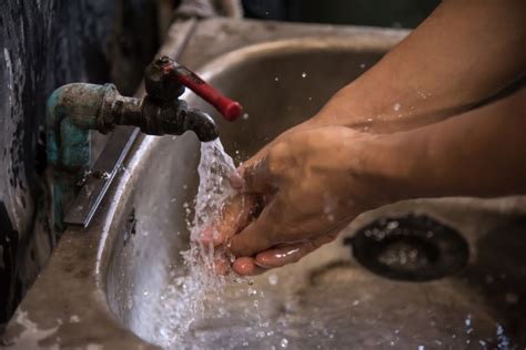 4 Easy Ways To Get Rid Of Maggots In Your Garage