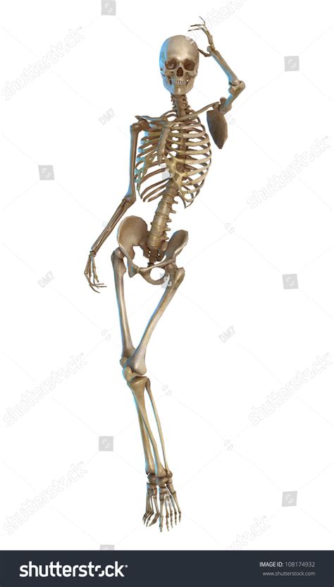 Skeleton Model Pose Stock Illustration 108174932 Shutterstock