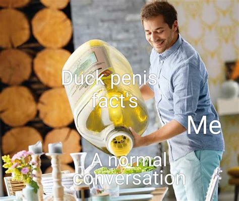 Did You Know Duck Have Corkscrew Penises Rdankmemes