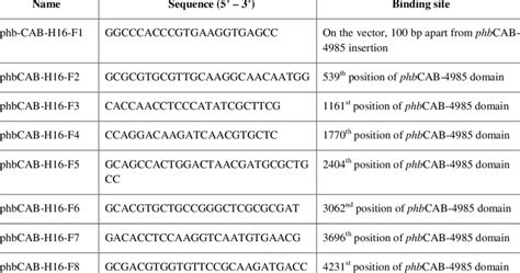name sequence binding sites of sequencing primers for phbcab 4985