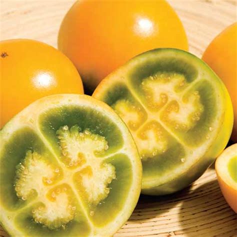 Fresh Fruits Freshkita Quality Premium Fruits