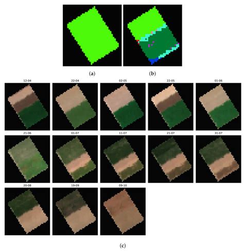 Farmsar Fixing Agricultural Mislabels Using Sentinel 1 Time Series And Autoencoders