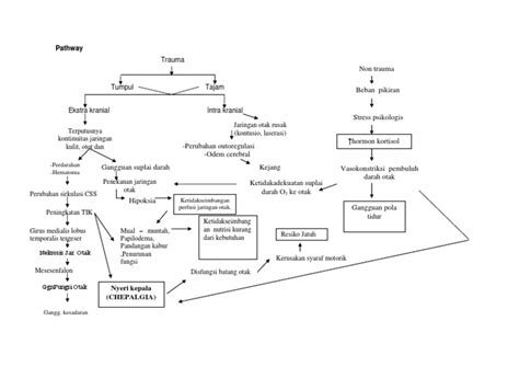 Pathway Chepalgia Pdf