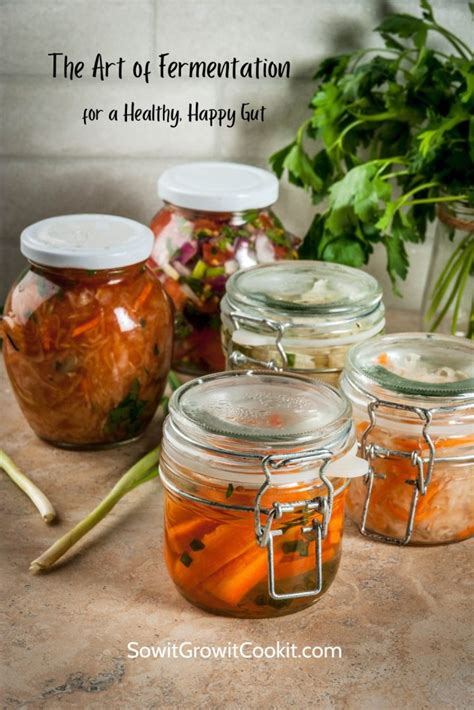 Unlock Vitality The Art Of Fermentation For A Happier Healthier Gut Sow It Grow It Cook It