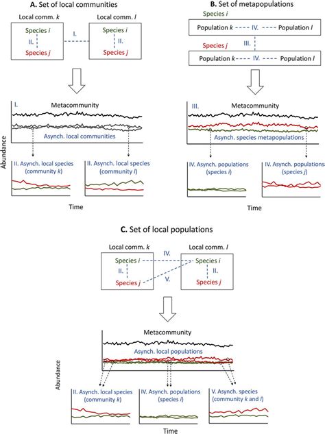Three Views Of A Metacommunity And Their Associated Forms Of