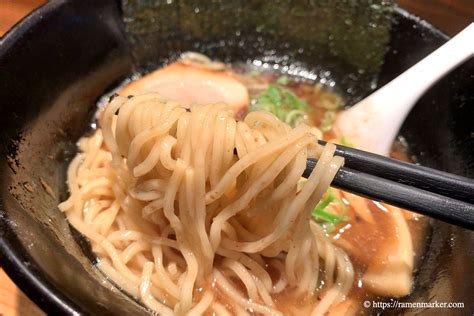 魚介とんこつラーメン 麺 ｜ ラーメンマーカー