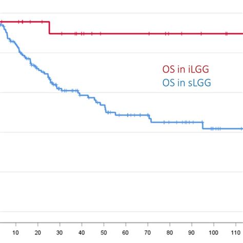 Incidental Lgg Showed A Significantly Longer Pfs Compared To Slgg In