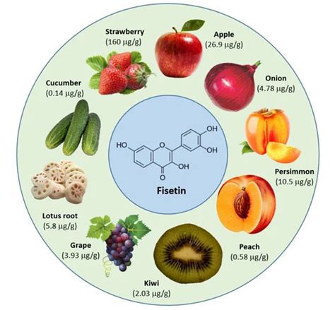 El Potencial Antioxidante Anti Inflamatorio Y Neuroprotector De La