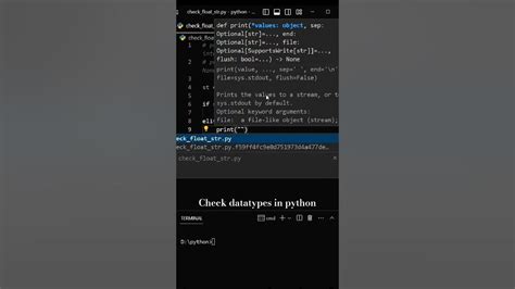 Check Datatypes In Python New Way Python String Datatype