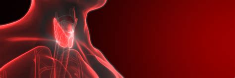 Light Therapy And Hypothyroidism Red Light Man