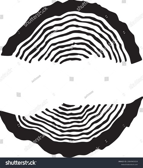 452 Oak Tree Ring Logo Images Stock Photos Vectors Shutterstock