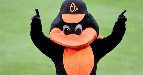 Orioles Mascot Is Mlbs 5th Best According To Fan Survey Cbs Baltimore