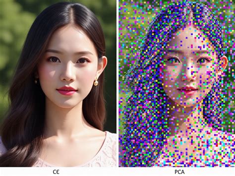 深入理解pca：奇异值分解与主成分的统计可解释性 主成分分析解释性怎么样 Csdn博客