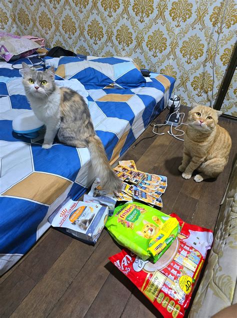 ချောပုလုံး ကိုယ့်သားအကြောင်းကိုပြောရတာလဲရှက်ပါတယ် မိန်းကလေးကိုခွရင်လေ အပေါက်ကတည့်မနေဘူး ကျောက